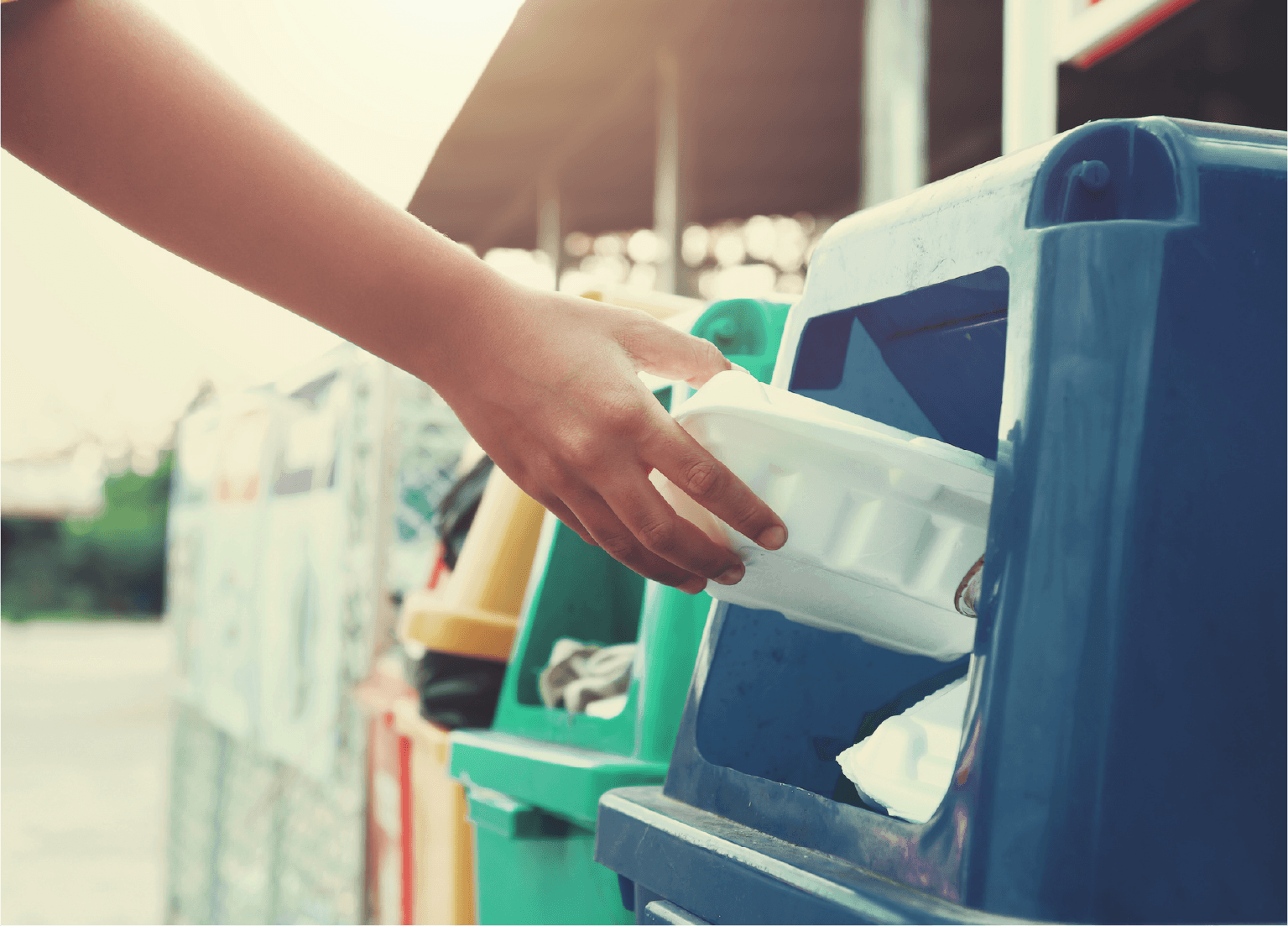 News | Sustainable Food Disposal Solutions | Bright Feeds