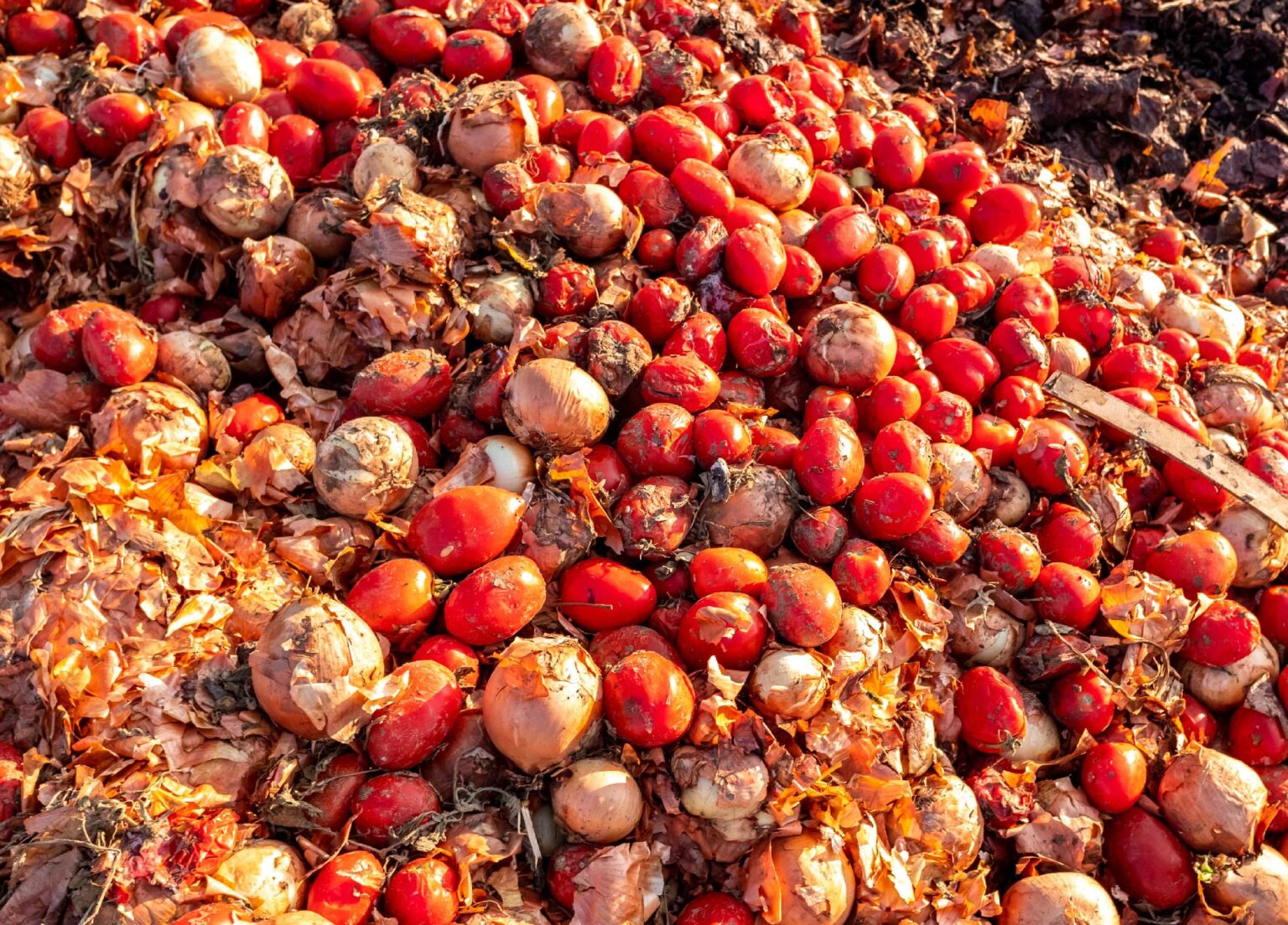 News | Sustainable Food Disposal Solutions | Bright Feeds