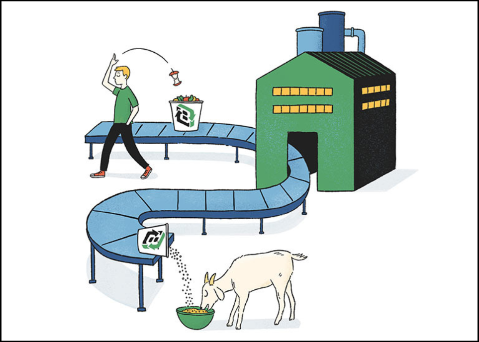 News | Sustainable Food Disposal Solutions | Bright Feeds